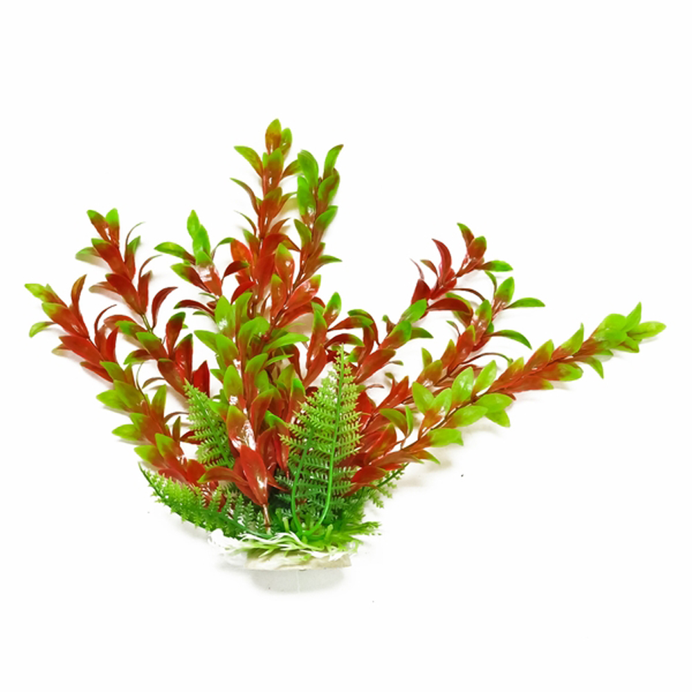 6" - 20" Green and Red Hygro-Like Aquarium Plant | Aquatop