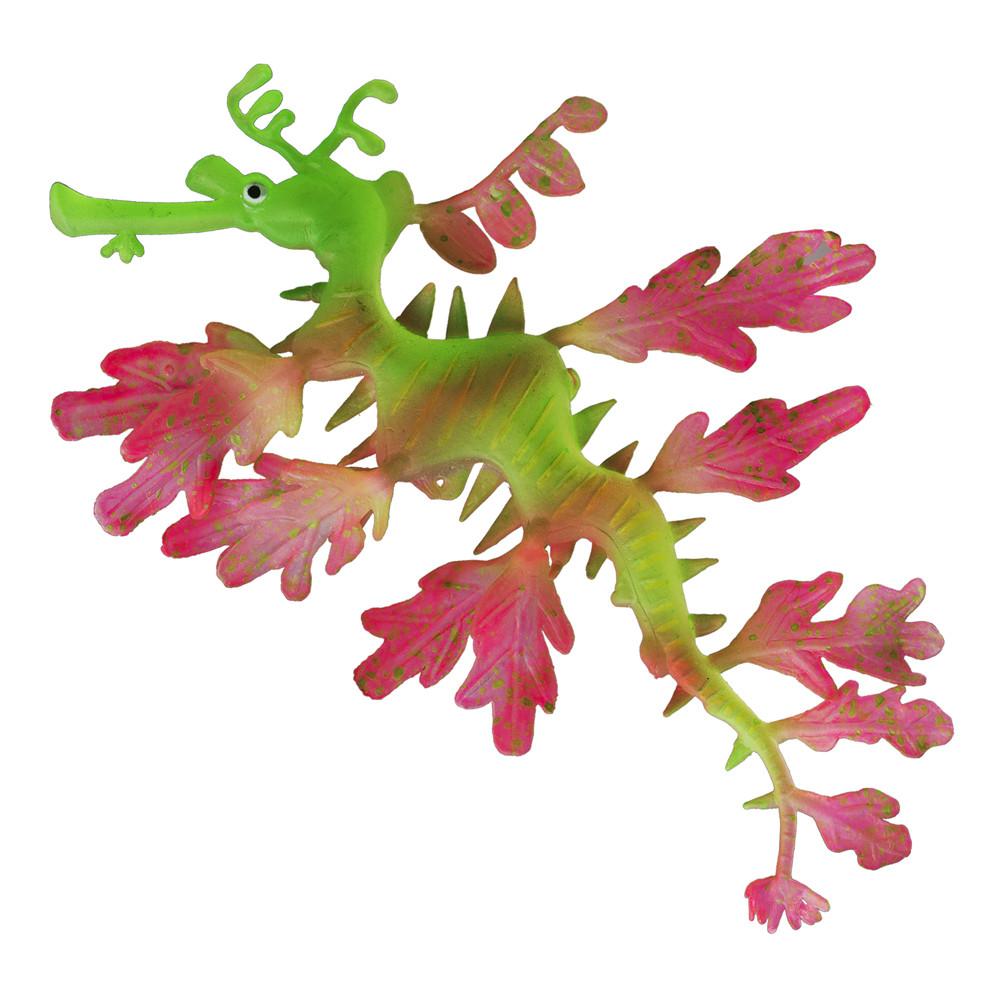 Colorful Sea Dragon