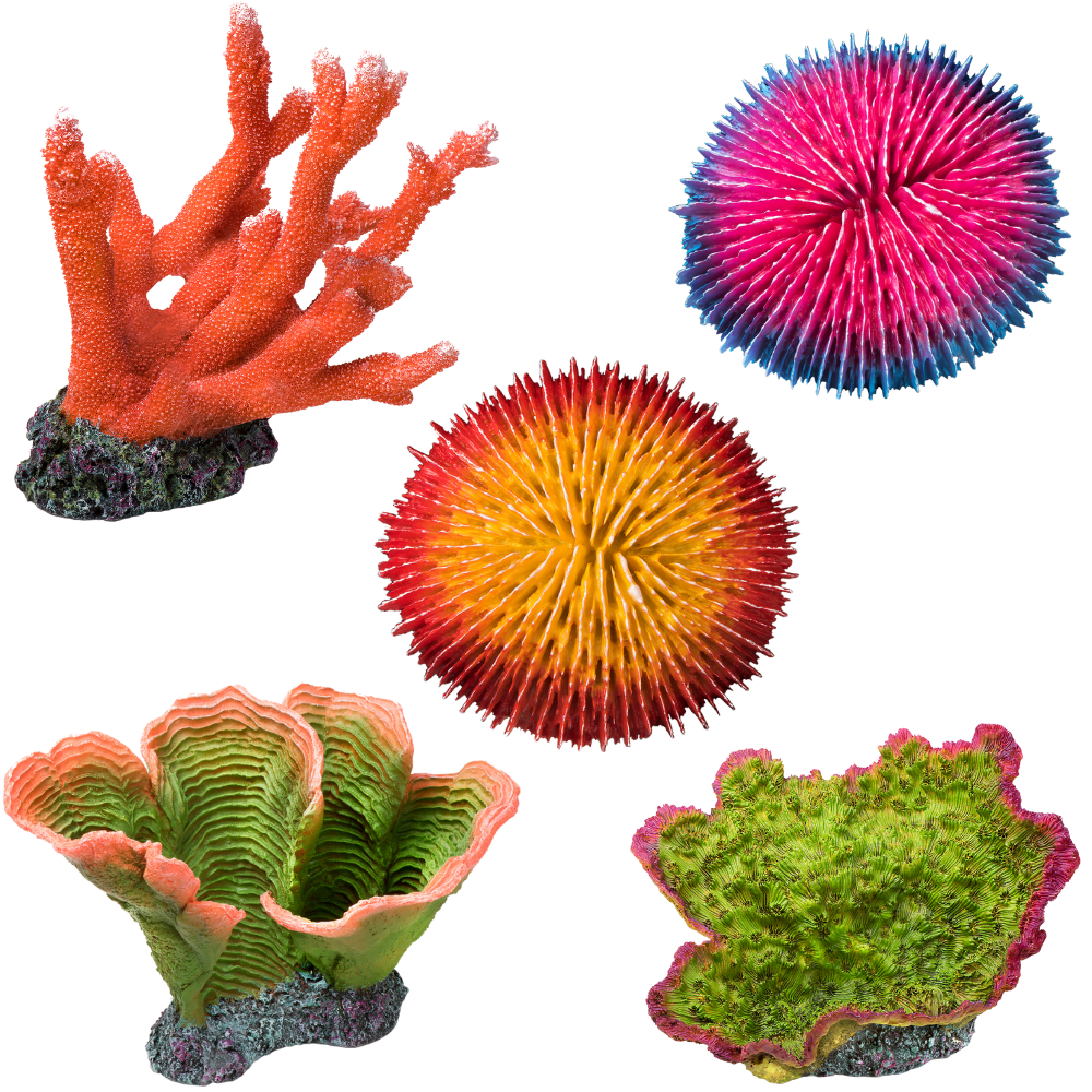 Multicolor Vibrant Coral Decor | Aquatop