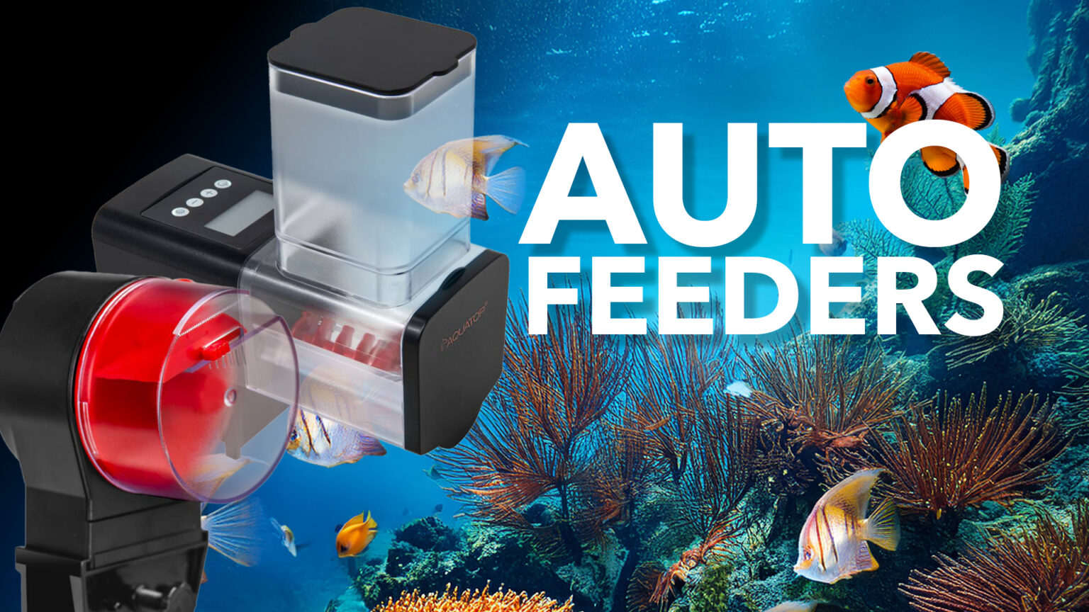 Effortless Feeding with Aquatop’s Automatic Fish Feeders: ATF-MAX & ATF-03